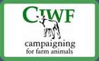About Compassion in World Farming | Compassion in World Farming