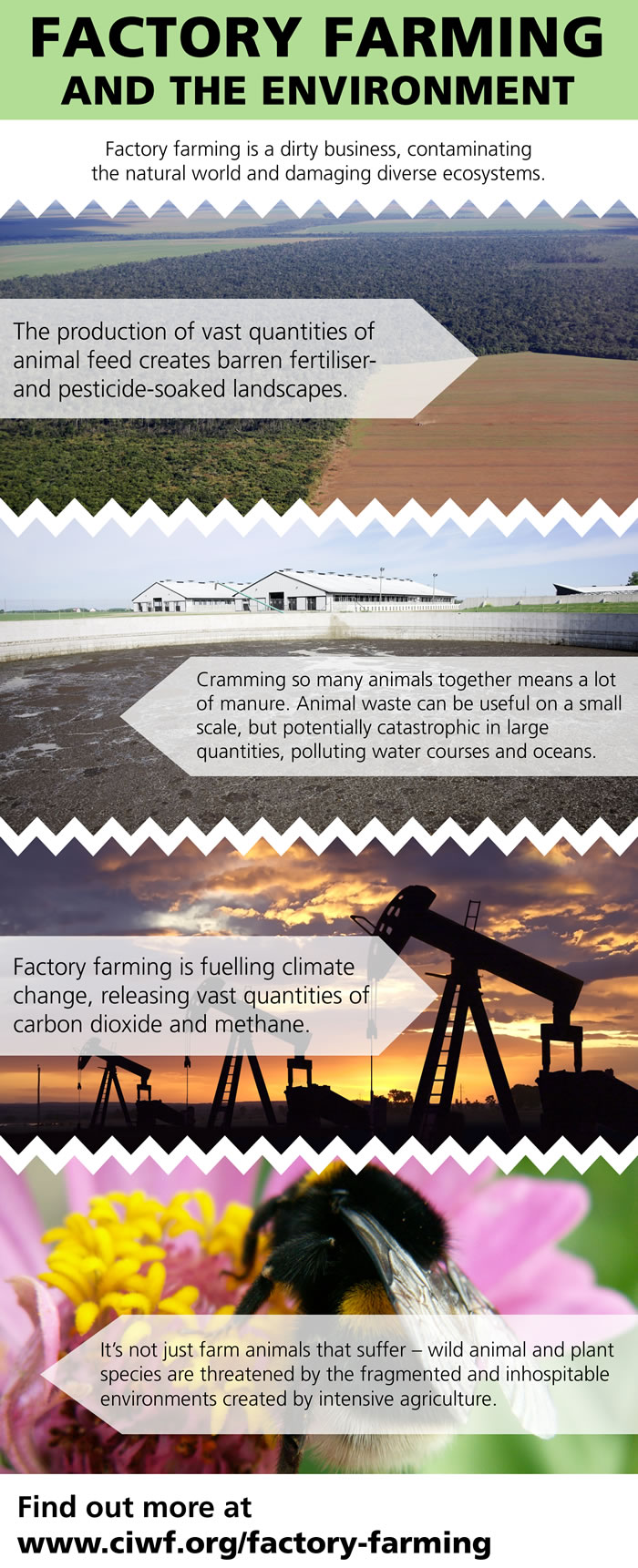 Environmental damage | Compassion in World Farming