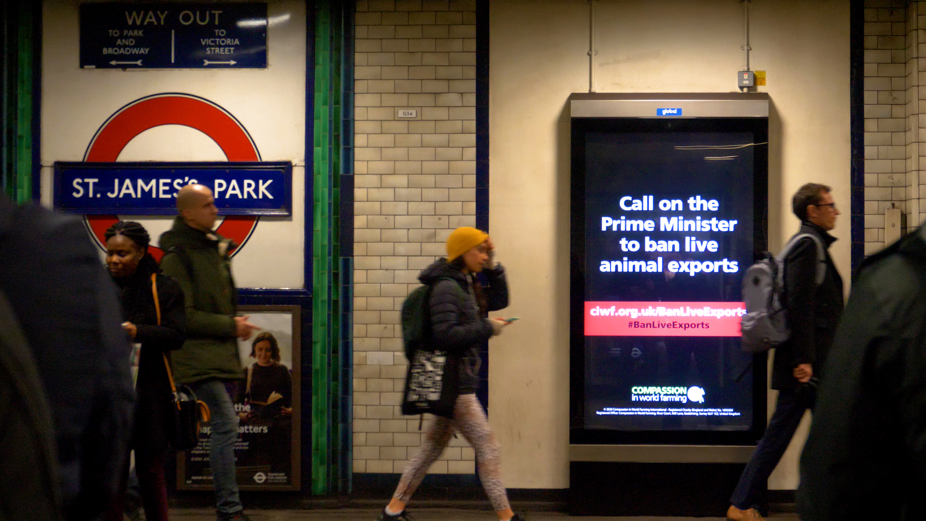 Celebrate the ban of live exports from Great Britain | Compassion in ...
