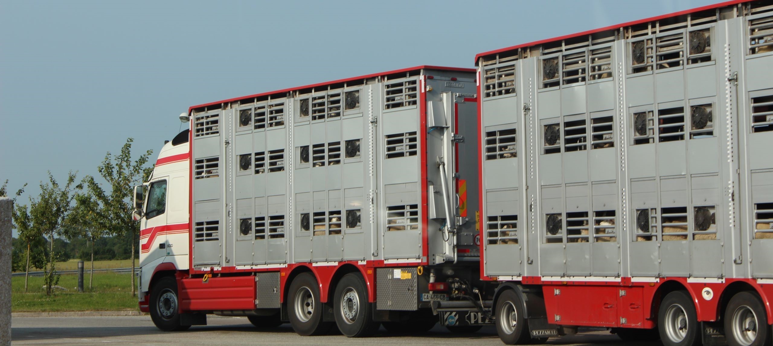 Compassion in World Farming, the world's leading farm animal welfare ...