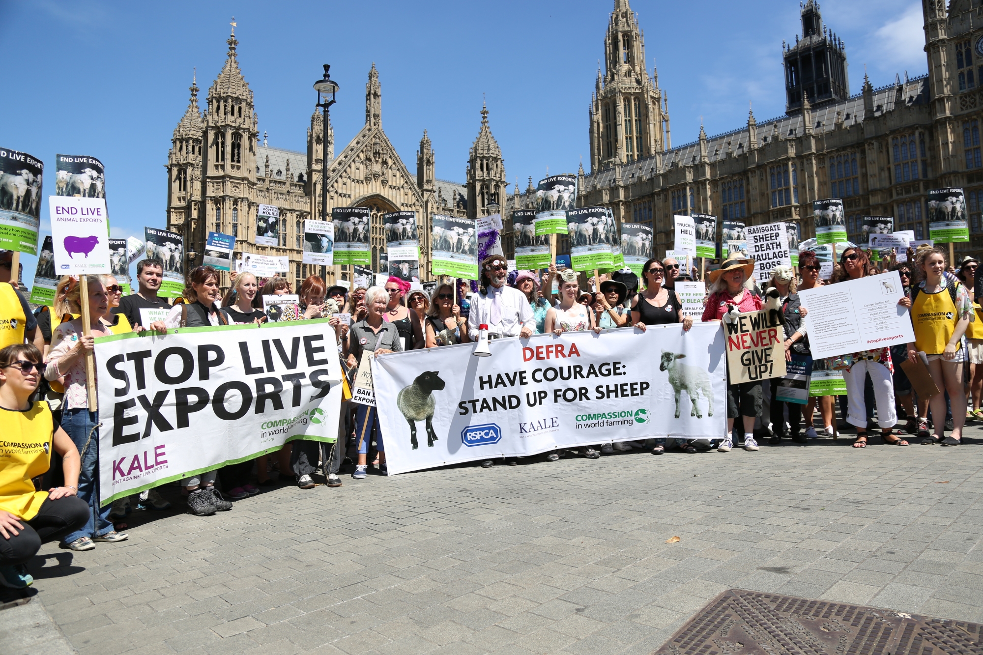 Celebrate the ban of live exports from Great Britain | Compassion in ...